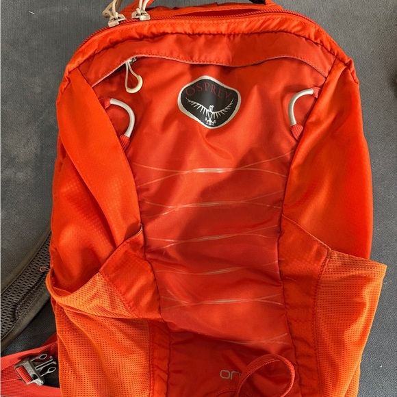 OSPREY | Bags | Used Osprey 2l Daylight Series Backpack In Great ...